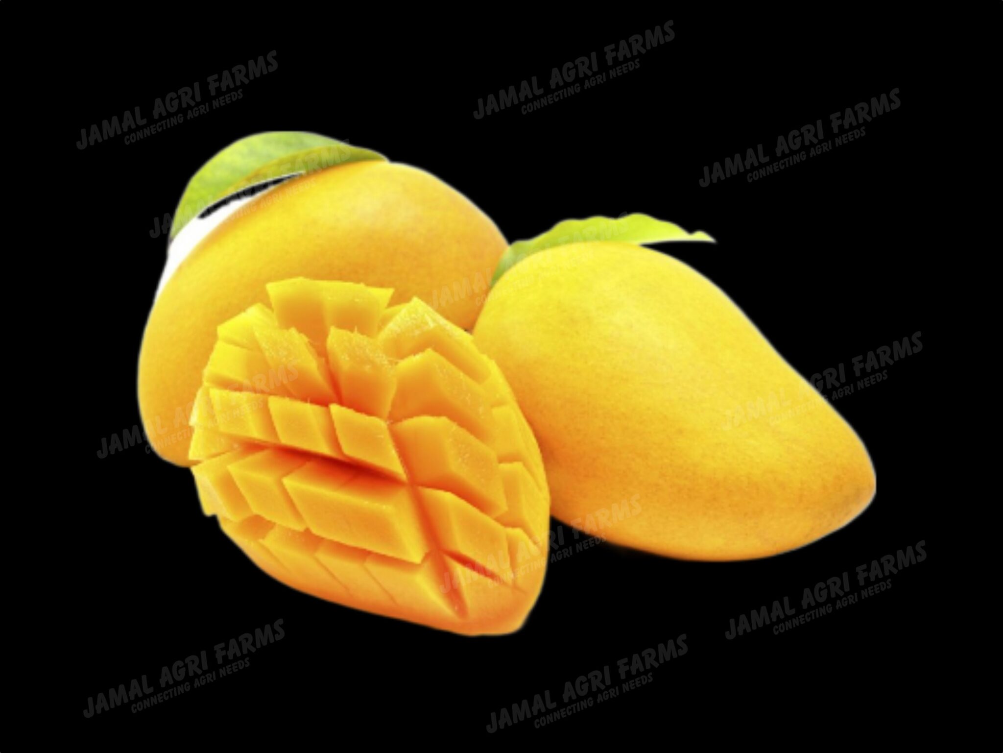 Frozen Mangoes - Jamal Agri Farms