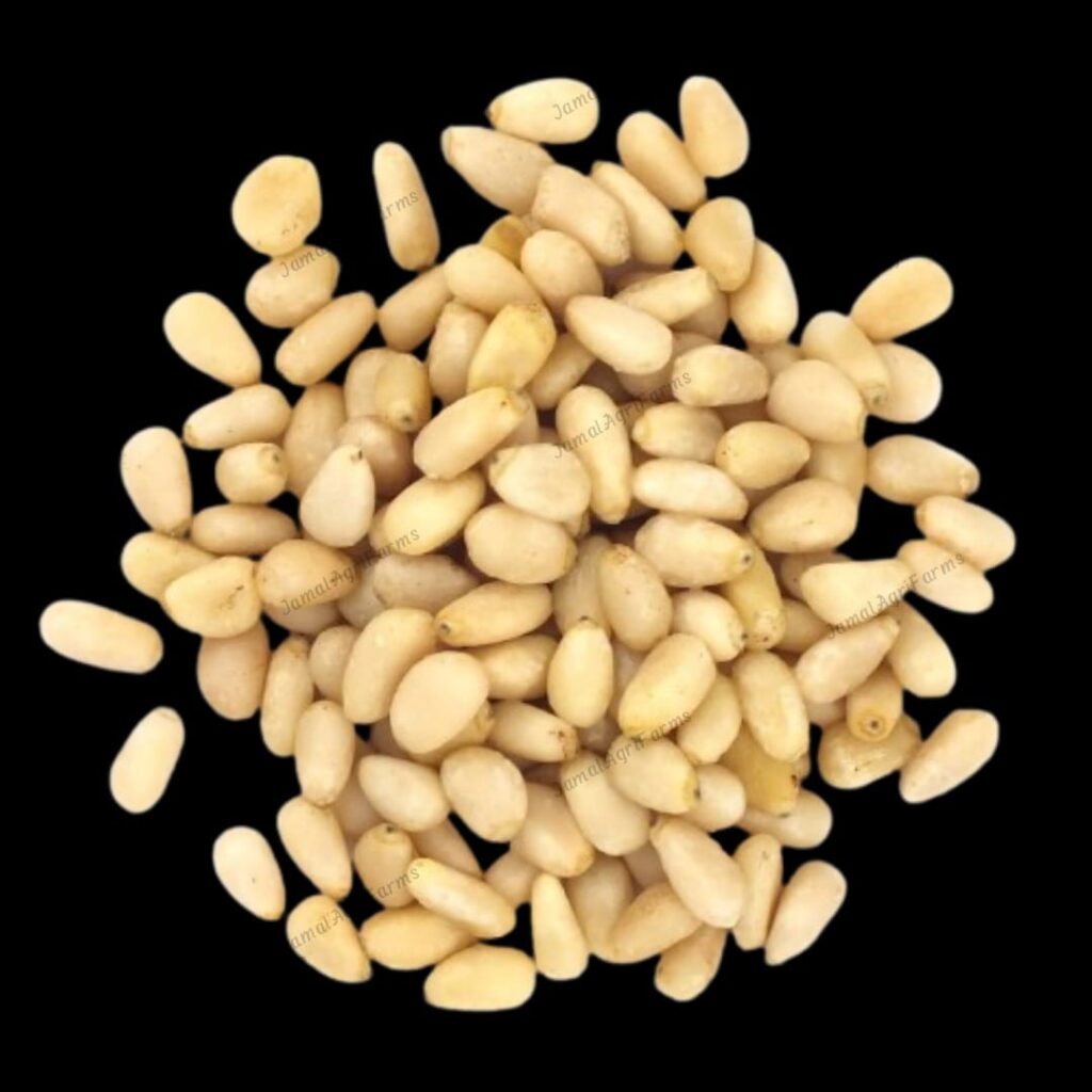 Pine Nut - Jamal Agri Farms